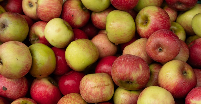 The Guide to Fall Apples – PS Seasoning
